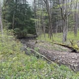 Tracy Ridge Hiking Trail System , Pennsylvania - 310 Reviews, Map ...