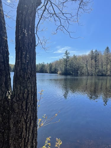 Best Hikes and Trails in Dunn State Park | AllTrails