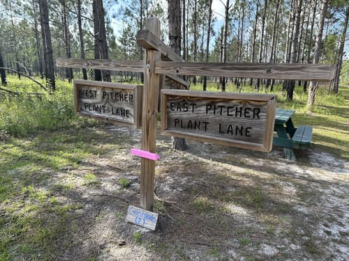 2023 Best Walking Trails in Foley | AllTrails