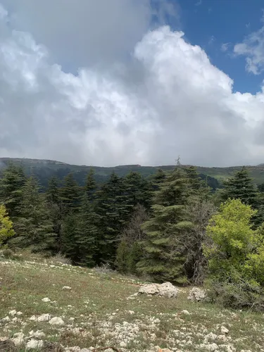 10 Best Trails and Hikes in Lebanon | AllTrails