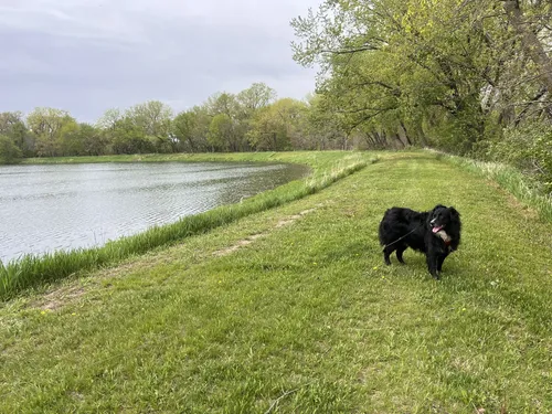 Best Hikes and Trails in Cold Springs State Park | AllTrails