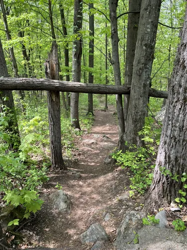 Best Hikes and Trails in Rice Nature Preserve | AllTrails