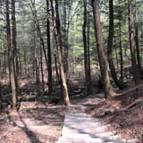 Stevens Glen Trail, Massachusetts - 370 Reviews, Map | AllTrails