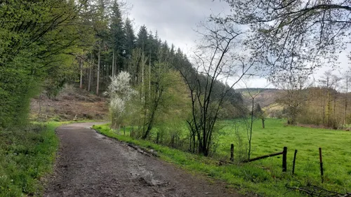 De 10 beste wandelroutes om te wandelen in Hotton | AllTrails