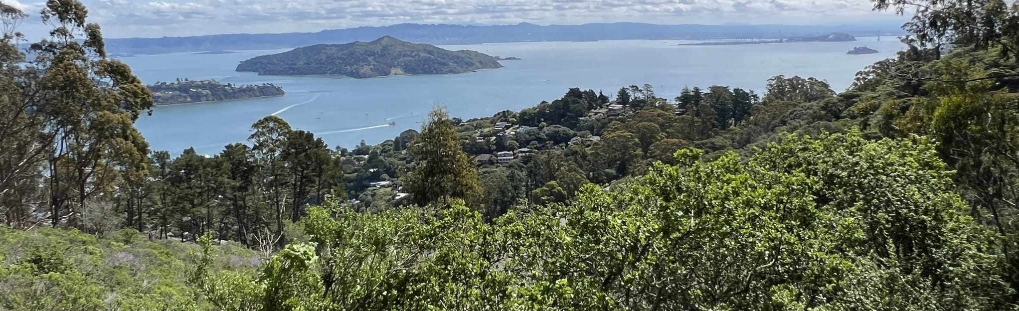 Alta Trail from Morning Sun Trailhead: 56 Reviews, Map - California ...