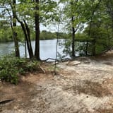 Cape Henry Trail, Virginia - 553 Reviews, Map | AllTrails