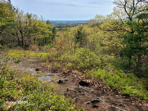 2023 Best Views Trails in Nashua Valley Conservation Area | AllTrails