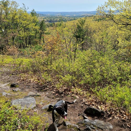 2023 Best Views Trails in Nashua Valley Conservation Area | AllTrails