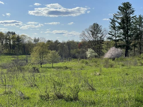 Best Hikes and Trails in Oyster River Forest | AllTrails