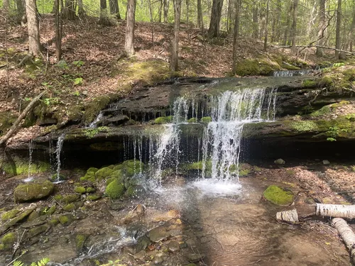 10 Best Hikes and Trails in Mount Toby State Forest | AllTrails