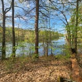 Douglas Forest Wallis Pond Loop Trail, Massachusetts - 899 Reviews, Map ...