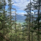 Sumas Mountain Trail, British Columbia, Canada - 519 Reviews, Map ...