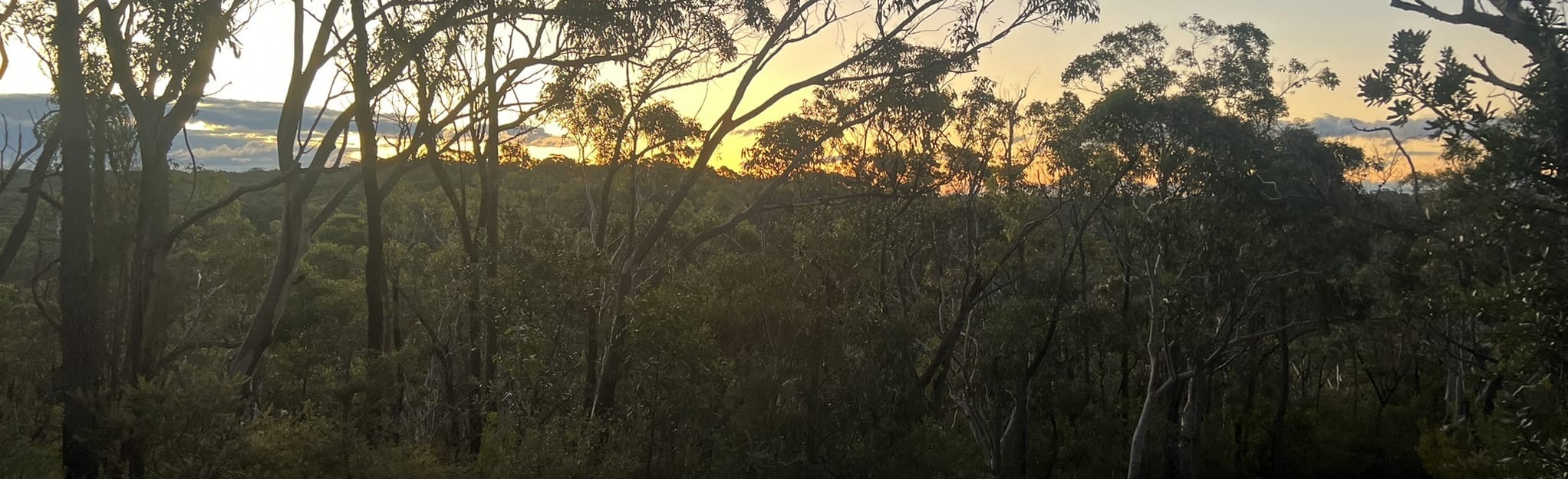 Loftus Loop Trail: 273 Reviews, Map - New South Wales, Australia ...