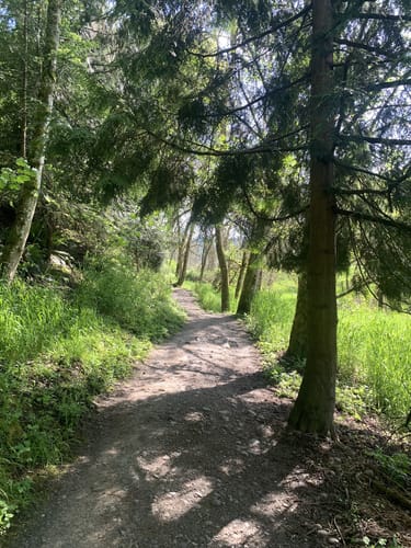 Best Hikes and Trails in Oaks Bottom Wildlife Refuge | AllTrails