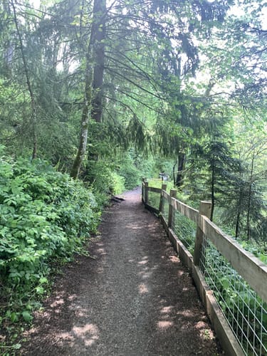 Best Hikes and Trails in Oaks Bottom Wildlife Refuge | AllTrails