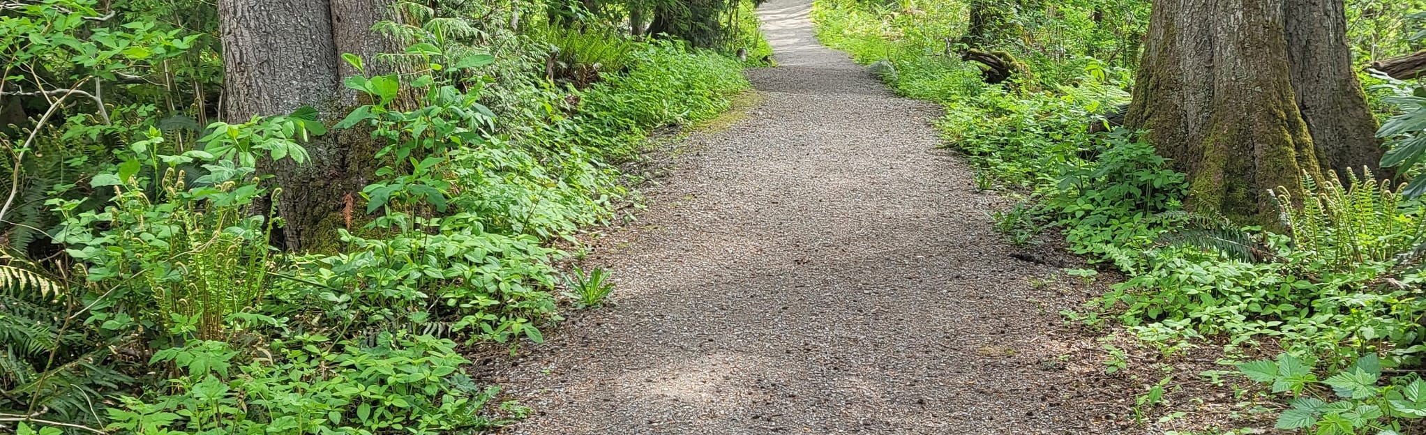 Mill Creek and Maple Ridge Loop, British Columbia, Canada - 159 Reviews ...