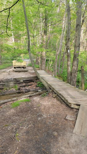 2023 Best Trail Running Trails in Cold Spring Harbor | AllTrails