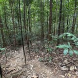 Mount Lambak, Johor, Malaysia - 222 Reviews, Map | AllTrails