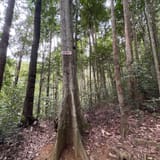 Mount Lambak, Johor, Malaysia - 222 Reviews, Map | AllTrails