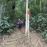 Mount Lambak, Johor, Malaysia - 222 Reviews, Map | AllTrails