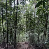 Gunung Lambak, Johor, Malaysia - 195 Reviews, Map | AllTrails