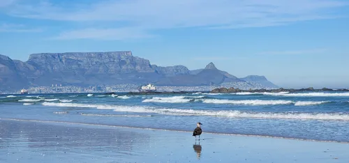 2023 Best 10 Trails, Walks, and Paths in Blouberg | AllTrails