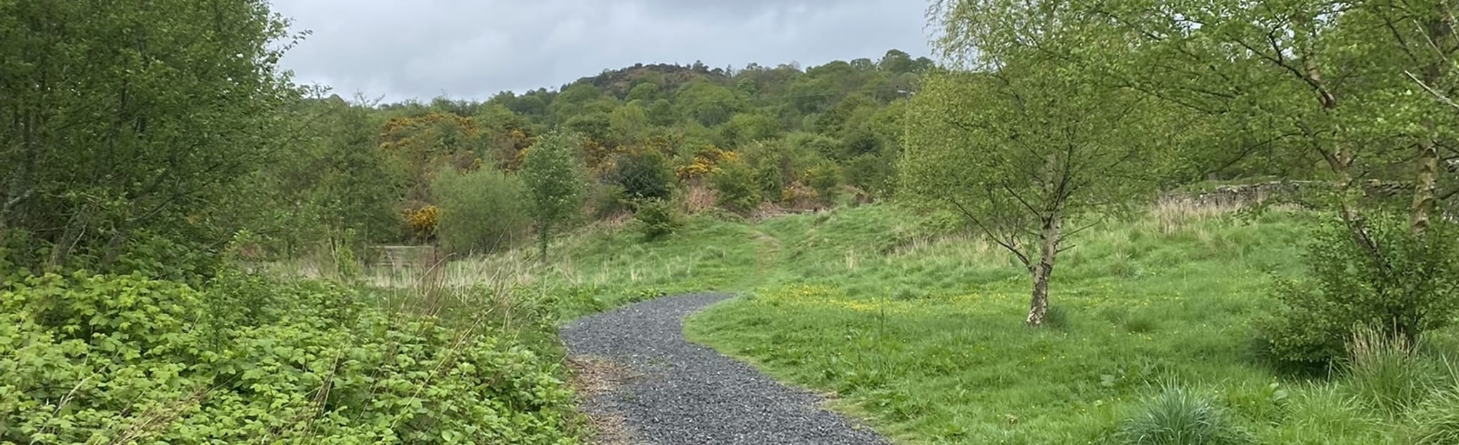 Bigland Barrow: 16 Reviews, Map - Cumbria, England | AllTrails