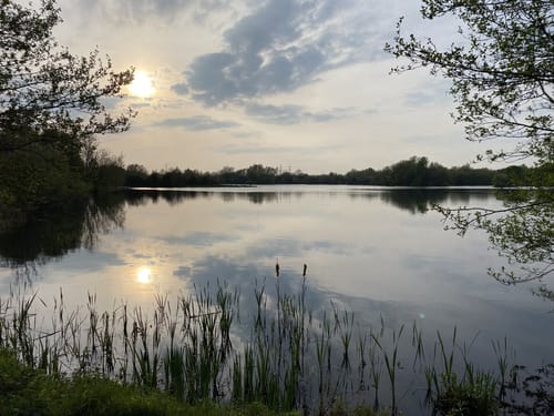 Best Hikes and Trails in Lower Moor Farm Nature Reserve | AllTrails