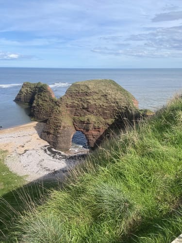 Best Hikes and Trails in Seaton Cliffs Nature Preserve | AllTrails