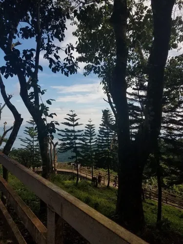 Best Hikes and Trails in Tagaytay City | AllTrails