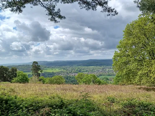 10 Best Trails and Hikes in Guildford | AllTrails