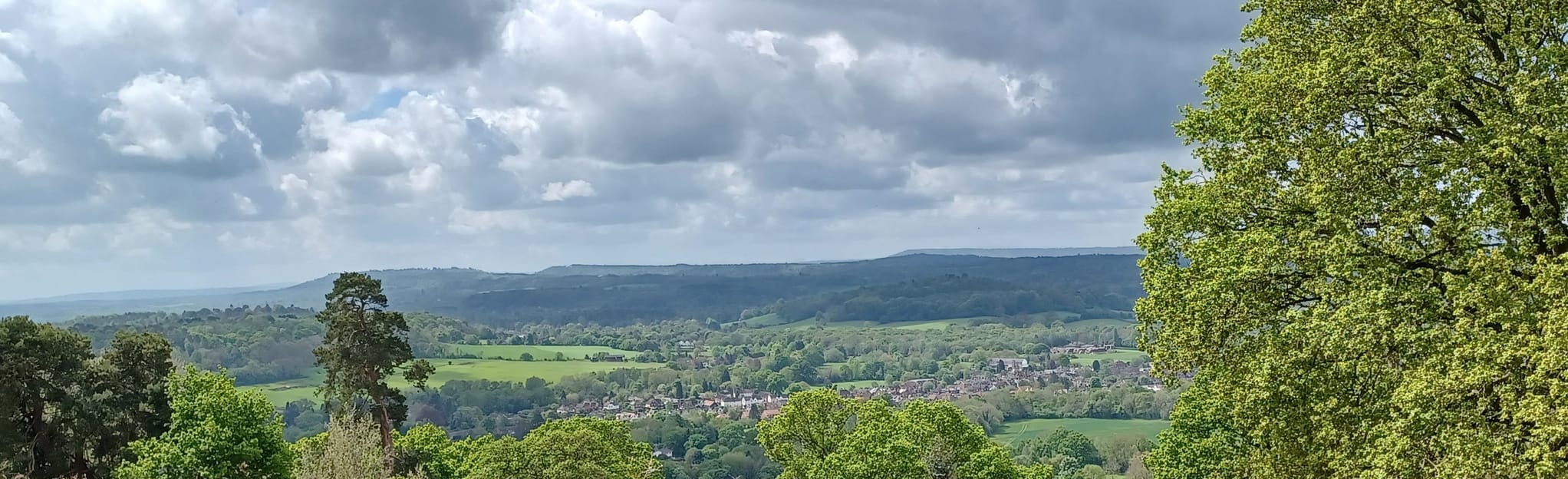 Newlands Corner, Chantries and St Martha’s Hill Circular, Surrey ...