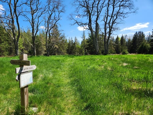 Best Hikes and Trails in Deer Isle | AllTrails