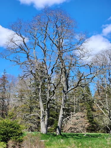 Best Hikes and Trails in Deer Isle | AllTrails