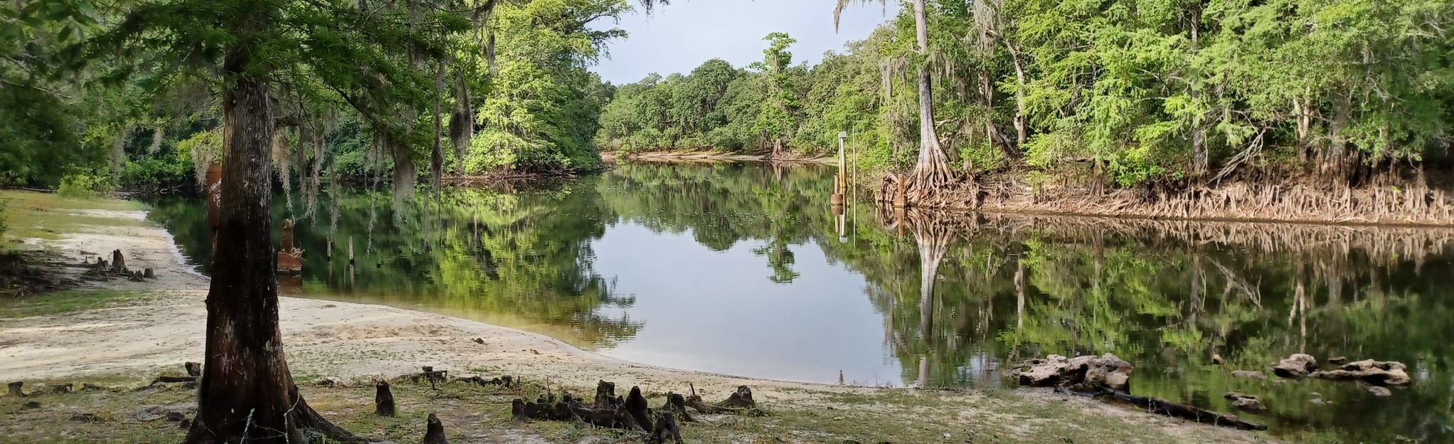 Croom Hiking Trail: 104 Reviews, Map - Florida | AllTrails