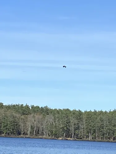 Best Hikes and Trails in Lake Dennison Recreation Area | AllTrails