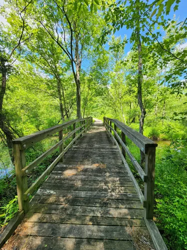 Best Camping Trails in Sumter National Forest | AllTrails