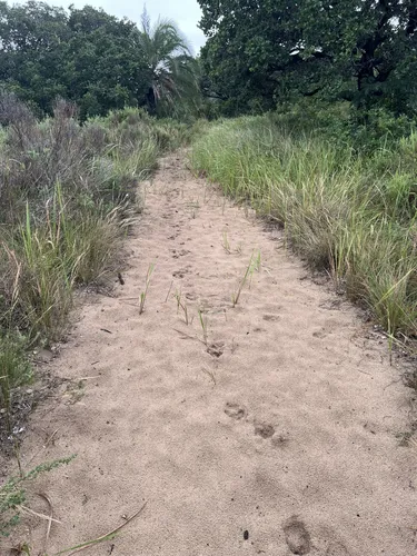 2023 Best Wild Flowers Trails in DukuDuku NU | AllTrails