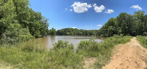 10 Best Trails and Hikes in Fort Mill | AllTrails