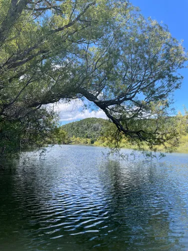 2023 Best Bird Watching Trails in Lower Lake | AllTrails