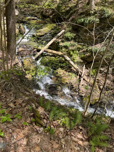 Best Hikes and Trails in Emily Griffith Beardsley Preserve | AllTrails