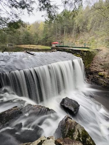 Best Hikes and Trails in Buffam Falls Conservation Area | AllTrails