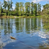 Molalla River State Park Trail, Oregon - 382 Reviews, Map | AllTrails