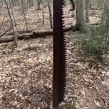 Old Loggers Path, Pennsylvania - 626 Reviews, Map | AllTrails