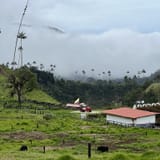 Cocora Valley Loop, Quindío, Colombia - 191 Reviews, Map | AllTrails