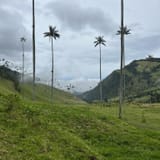 Cocora Valley Loop, Quindío, Colombia - 191 Reviews, Map | AllTrails
