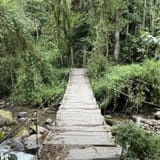 Cocora Valley Loop, Quindío, Colombia - 191 Reviews, Map | AllTrails