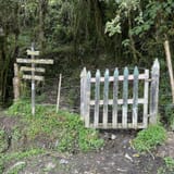 Cocora Valley Loop, Quindío, Colombia - 191 Reviews, Map | AllTrails