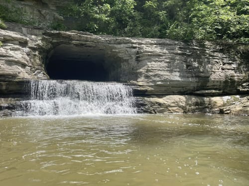 Best Hikes and Trails in Narrows of the Harpeth State Park | AllTrails