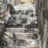 Bisbee 1000 (The Great Stair Climb), Arizona - 578 Reviews, Map | AllTrails